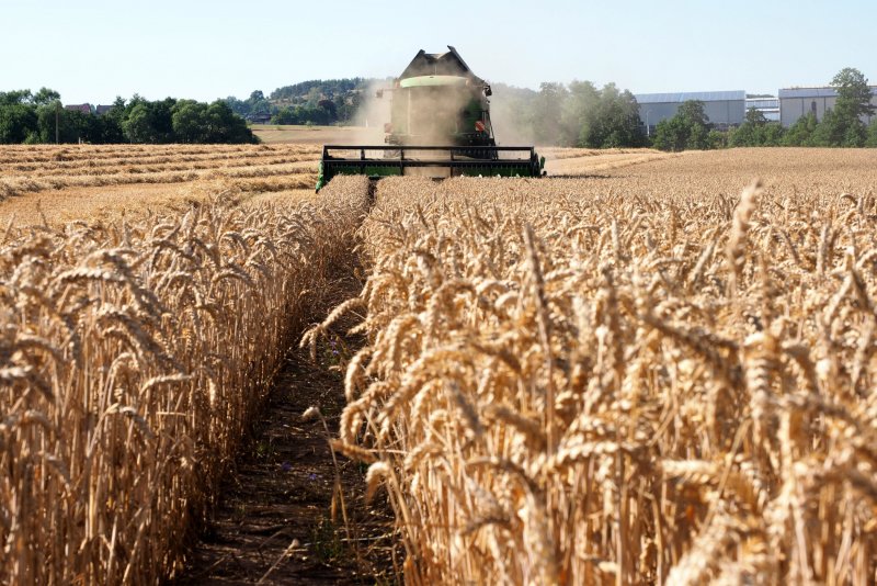 Wachsen oder Weichen – Deutsche Landwirtschaft im Strukturwandel ...