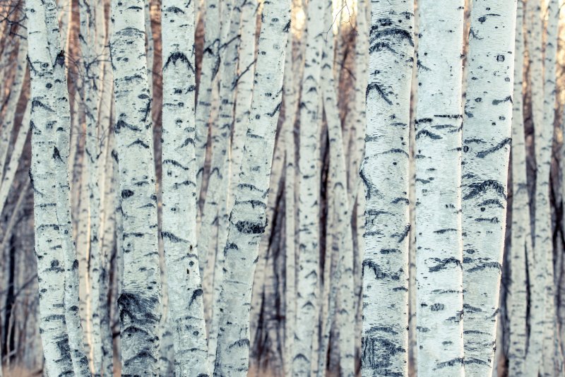 Was ist Heimat? | Zugehörigkeit und Zusammenhalt in der ...