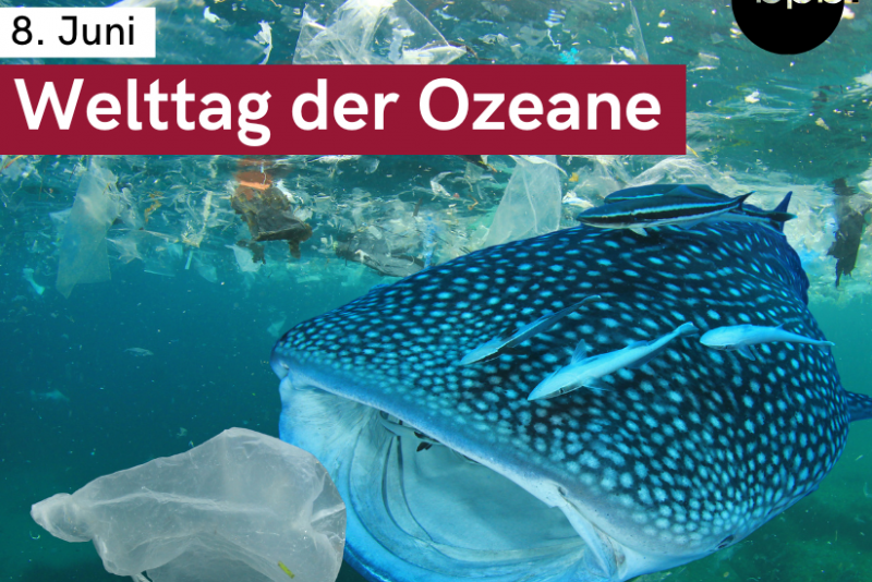 Welttag der Ozeane | Deine tägliche Dosis Politik | bpb.de