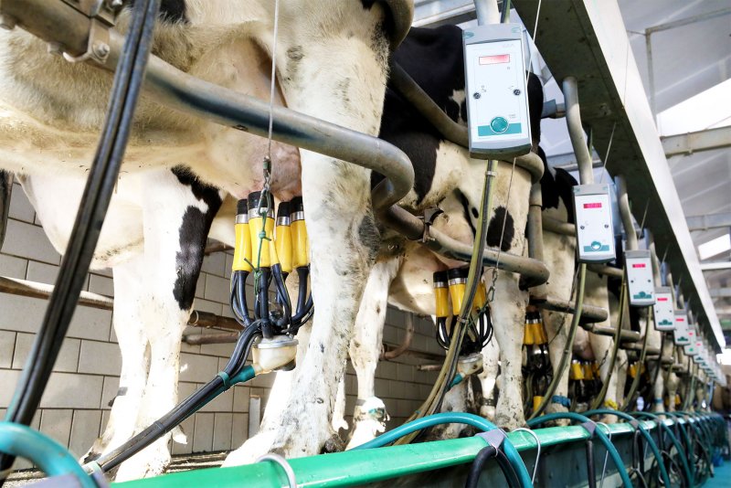 Tierhaltung und Tiernutzung | bpb.de