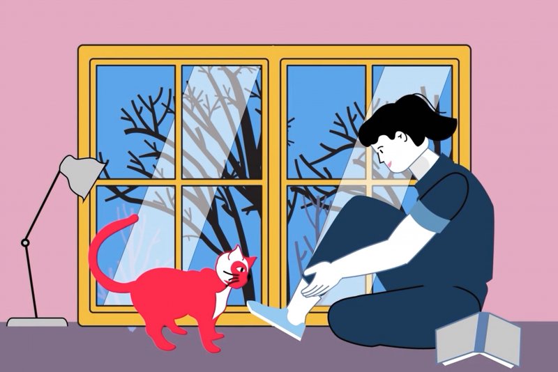 Mensch-Tier-Beziehungen | Bioethik | bpb.de