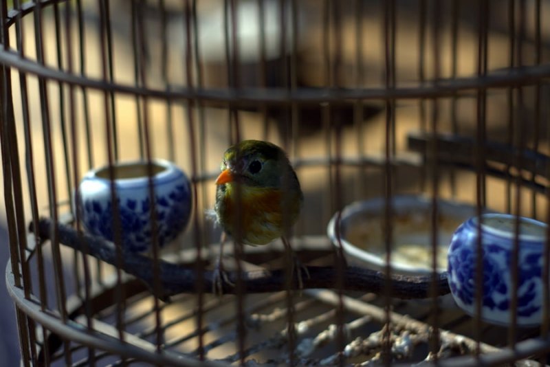 Freiheit gegen Sicherheit? | Risikogesellschaft | bpb.de