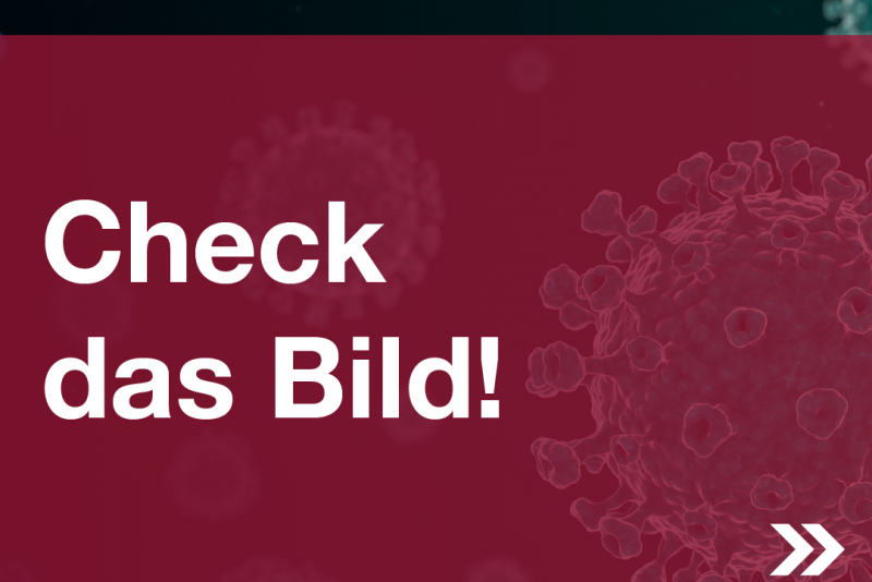 Check das Bild! | Themen | bpb.de