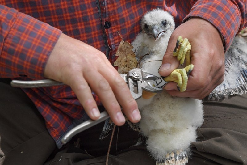 Naturschutz(politik) – Grundbegriffe und ihre Merkmale | Naturschutzpolitik | bpb.de