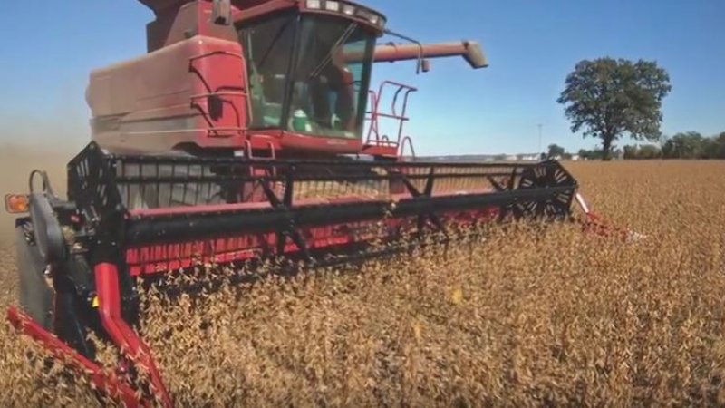 Welternährung: Wie muss die Landwirtschaft der Zukunft aussehen? | bpb.de