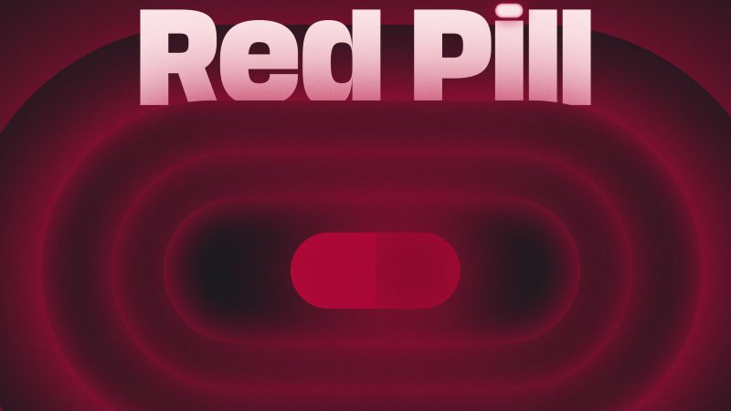 Folge 3: Die rote Pille – Antifeministen im Männlichkeitswahn | Taking ...