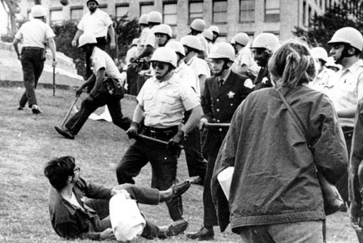 Jonge Zwarte Boer Niedlicher Nachwuchs Im Wildpark Schwarze Berge: