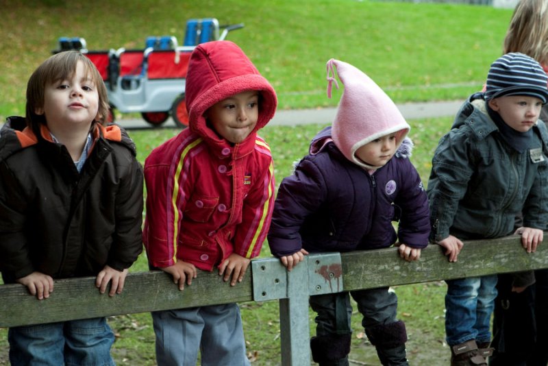 Demokratische Partizipation von Kindern in Kindergärten: Hintergründe ...