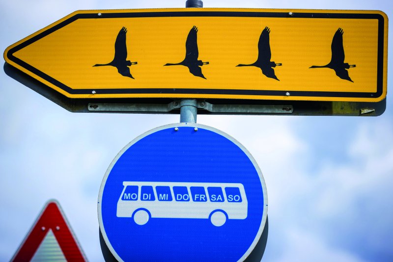 Zugehörigkeit und Zusammenhalt in der Migrationsgesellschaft | bpb.de