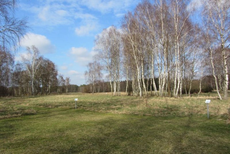 Außenlager des Konzentrationslagers Ravensbrück, Neustadt-Glewe ...